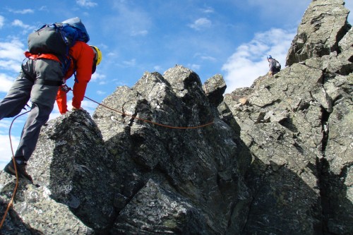 NZMGA » Qualifications