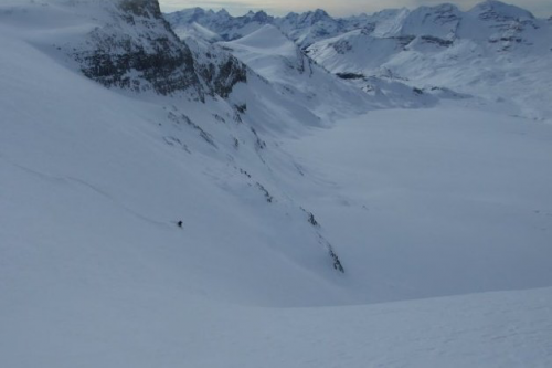 NZMGA Executive Committee | NZMGA